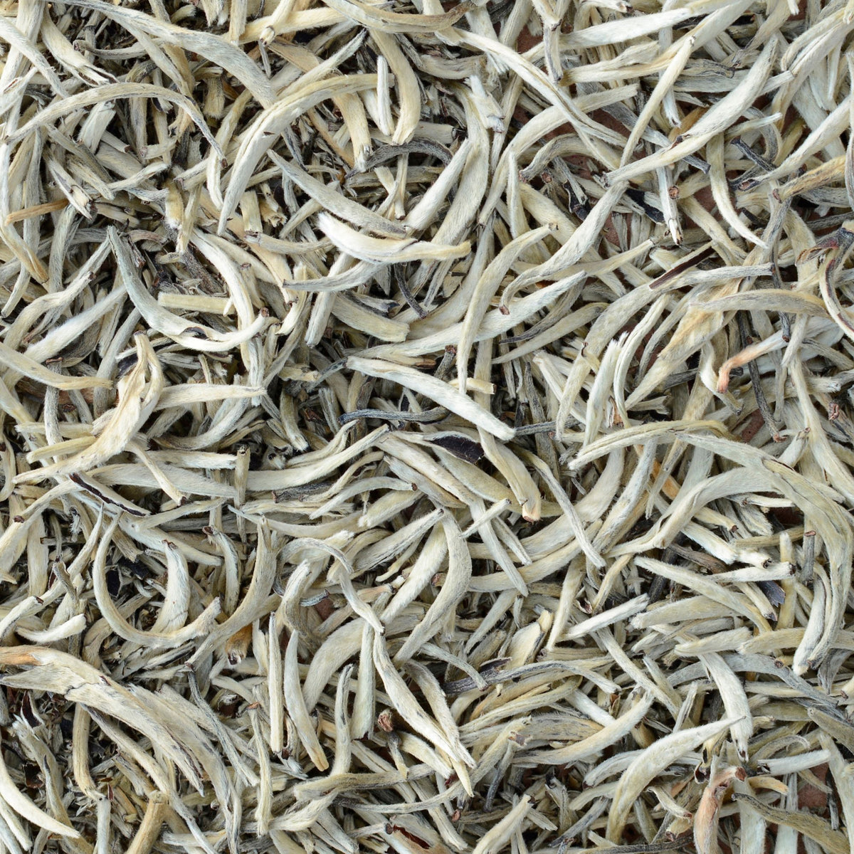 Best White Tea | Dimbula Silver Tips Ceylon Tea – so gud